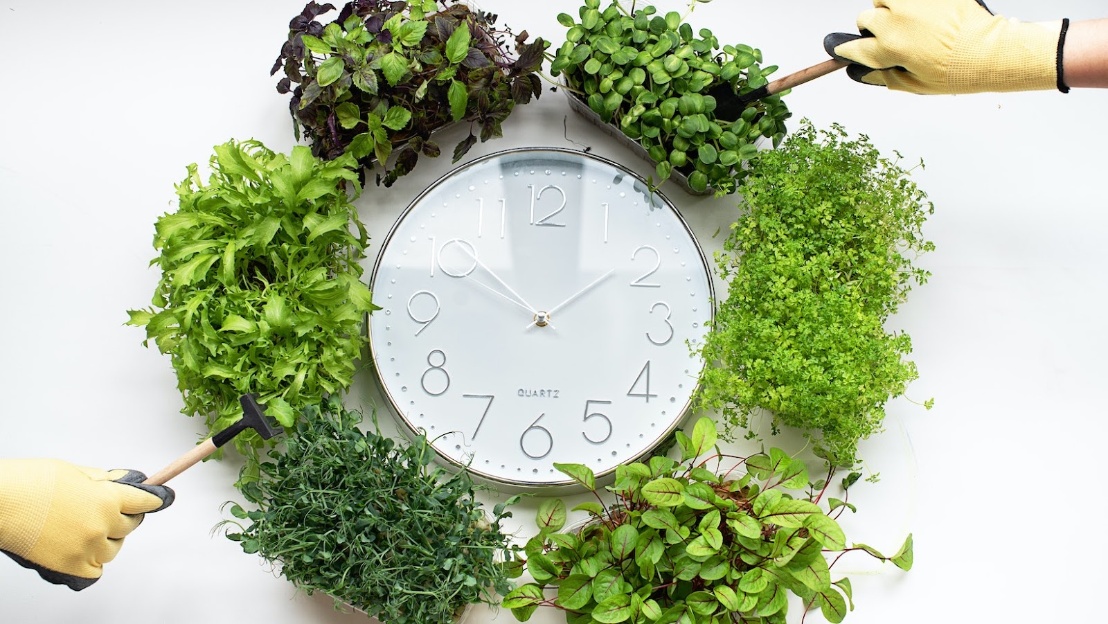 What Time Was it 6 Hours Ago:Exploring the Past with a Simple ...