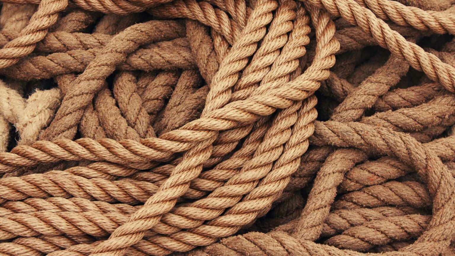 My Expert Guide For Survival Enthusiasts: How to Craft Rope Dayz ...