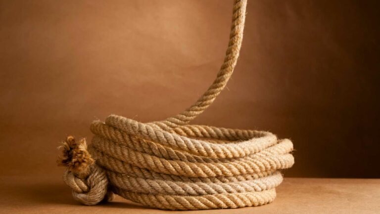 My Expert Guide For Survival Enthusiasts: How to Craft Rope Dayz ...