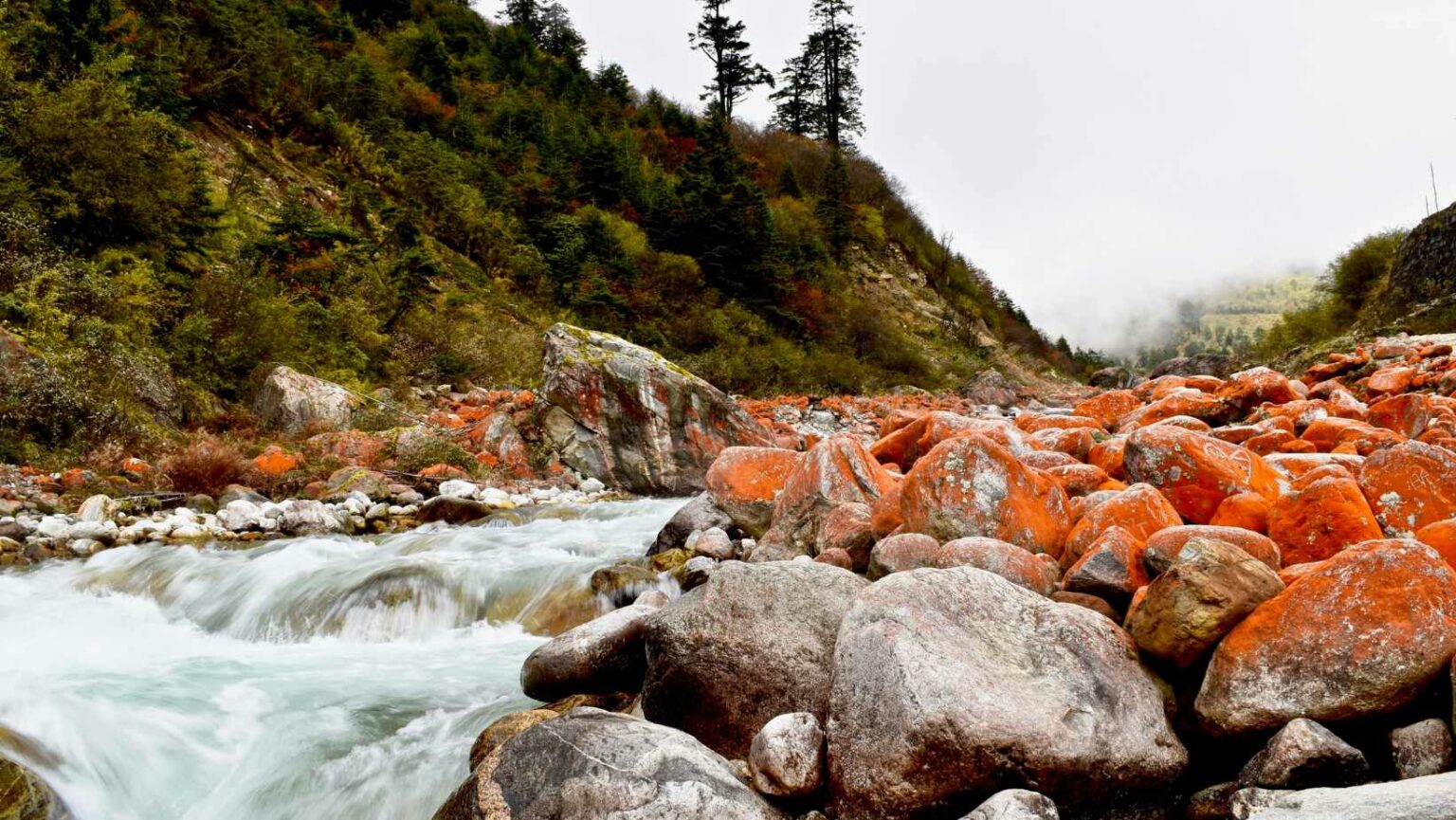 Expert Guide For Beginners: How to Craft a Redstone Comparator ...