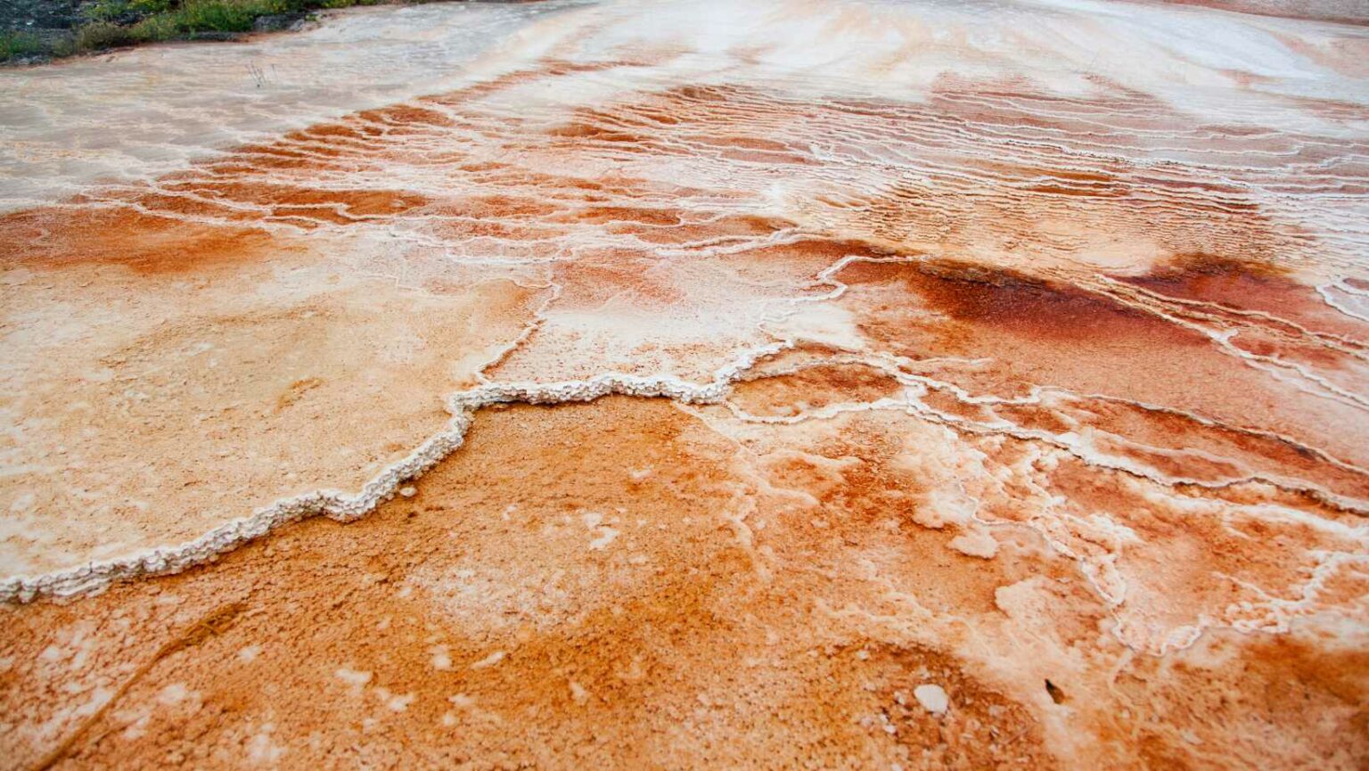 Expert Guide For Beginners: How to Craft a Redstone Comparator ...