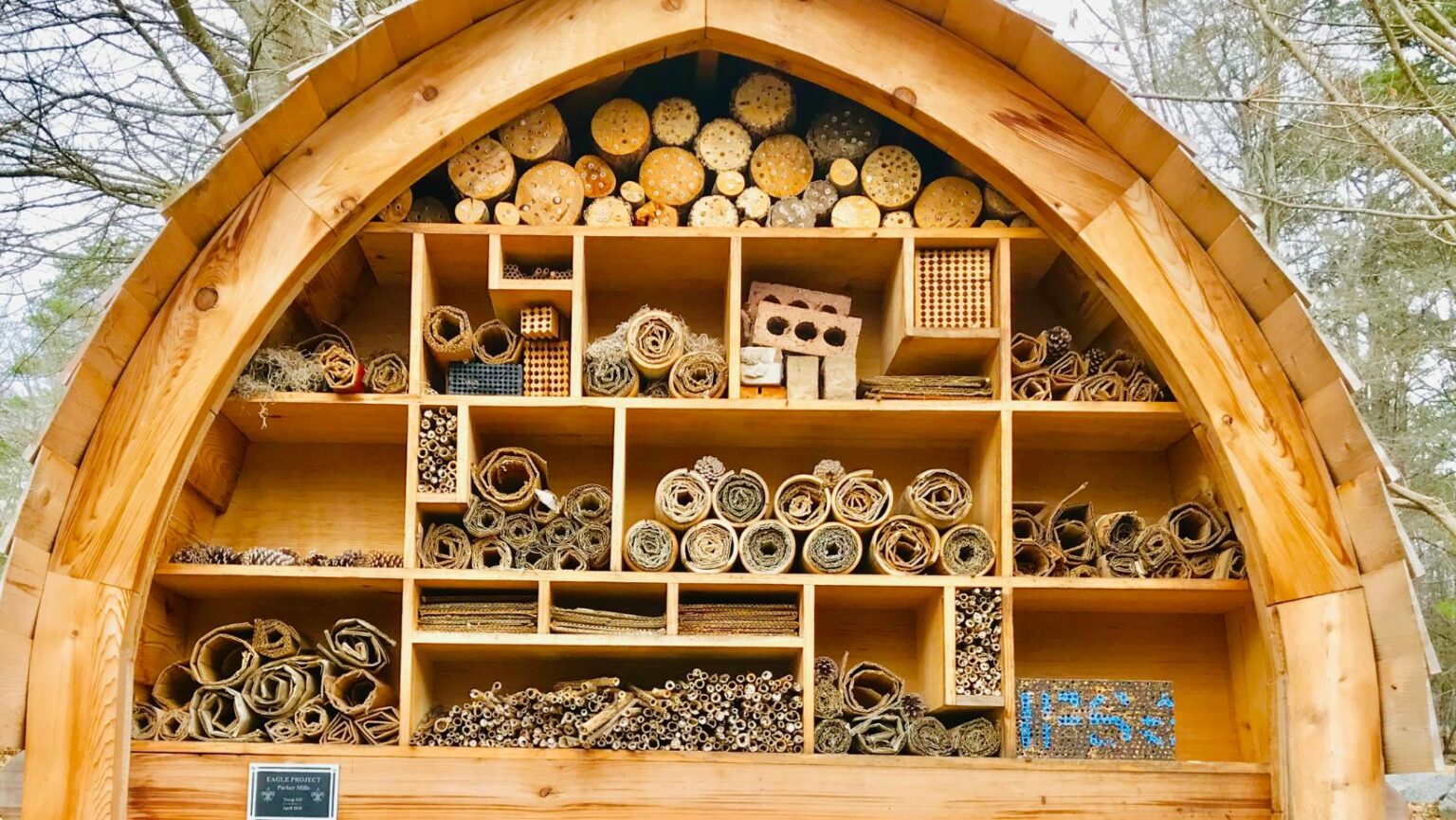 How to Make a Beehive Craft - An Ultimate Guide - Importantcool