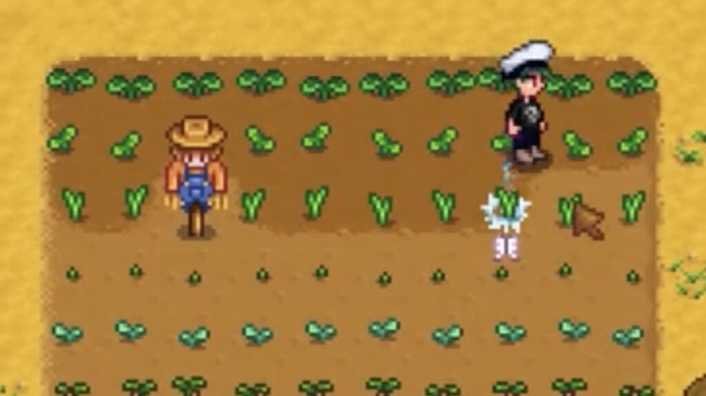 Easy Guide on How to Craft a Scarecrow in Stardew Valley - Importantcool